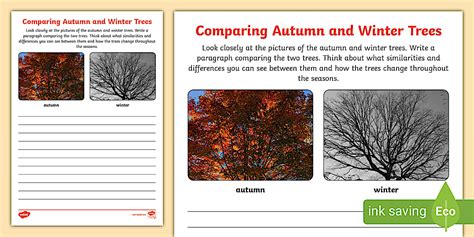 Comparing Autumn And Winter Trees Worksheet Twinkl