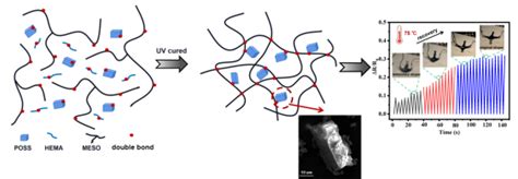 陈玉伟 张建明等：低介电poss 生物基纳米复合材料制备新策略 橡塑材料与工程教育部重点实验室