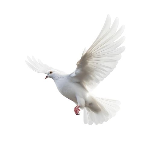 Colombe Volante Isolée Sur Fond Blanc Ia Générative Photo Premium