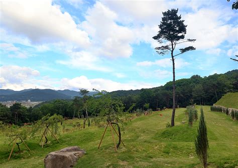 수피아파크골프7월 1일 오픈 수피아파크골프 가산수피아