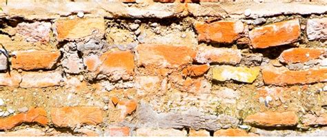 Rising Damp Treatment Services 20 Year Guarantee