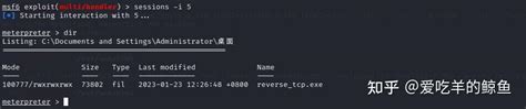 Msfvenom介绍及使用 知乎