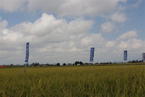 農業の担い手不足の解消に 輸出で事業拡大 秋田県環日本海交流推進協議会