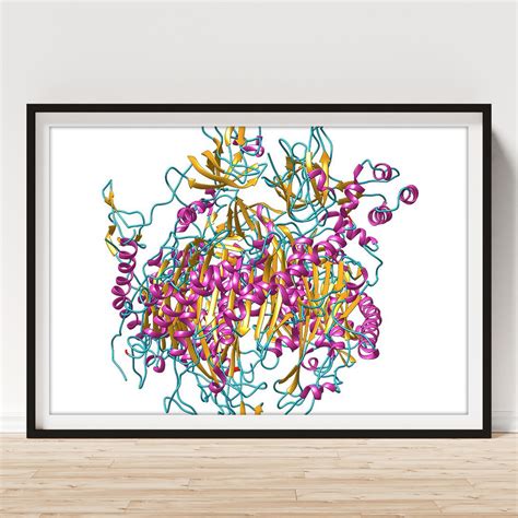 Rna Exosome Complex 1 Poster By Alfred Pasieka Science Photo Gallery