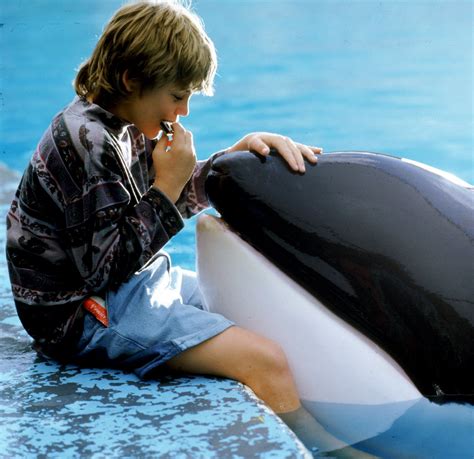 Jesse Free Willy Photo 39220604 Fanpop