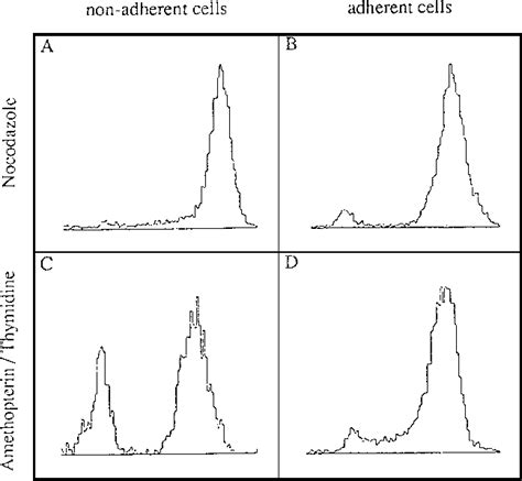 Cell Cycle Phase Distribution Of Hela Cell Cultures Dna Histograms Of