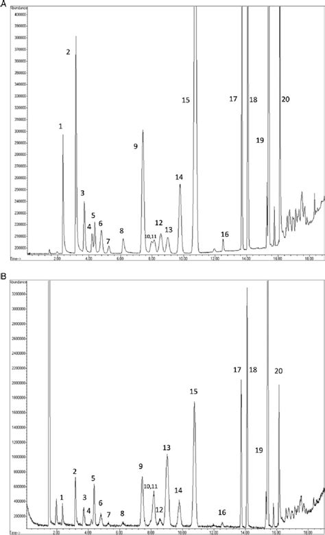 Chromatogram [a Fid B Ms Tic ] Of The Rss Standard Mixture With Is Download Scientific