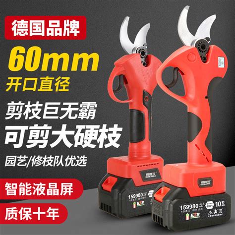 免運公司貨】電動剪刀 電動修枝剪 園丁剪 德國進口電動剪刀 電動修枝剪 果樹剪 無線充電式 鋰 電修枝剪刀 粗枝剪 露天市集 全台最大