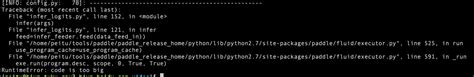 nextvlad模型使用cpu进行预测时（use gpu false）出现错误：runtimeerror code is too big