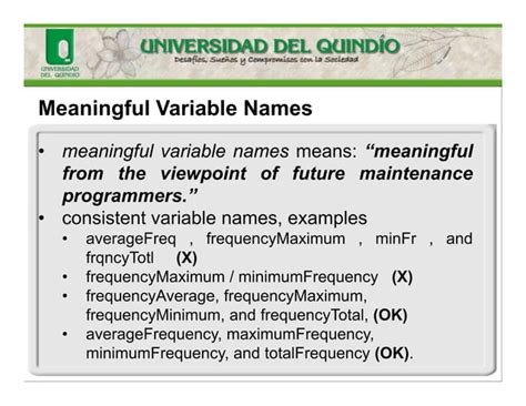 Code Inspection Ppt
