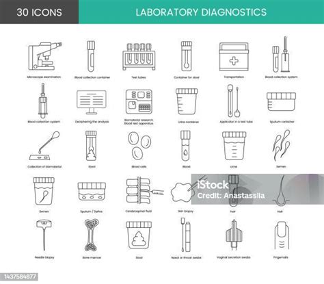 벡터 실험실 진단 일러스트레이션 현미경 검사 및 혈액 수집 용기 대변 용기 혈액 및 소변 가래 및 정액 가래 용기의 선 아이콘 세트 면봉에 대한 스톡 벡터 아트 및 기타
