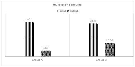 Result Of Input And Output Testing M Levator Scapulae Download Scientific Diagram
