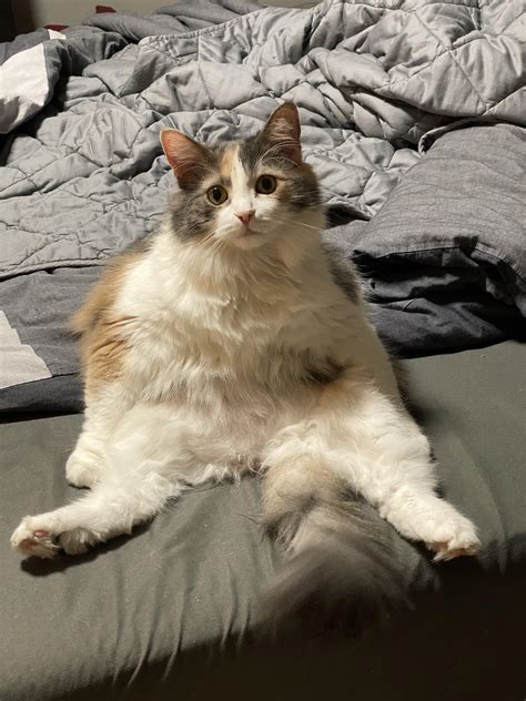 Good Morning Reddit I Hope You Have A Great Day Scrolller