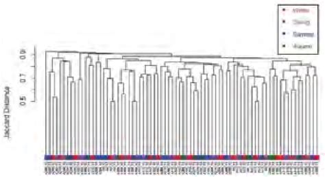 UPGMA Clustering Of Bacterial Communities In Soil Sample From Maples In