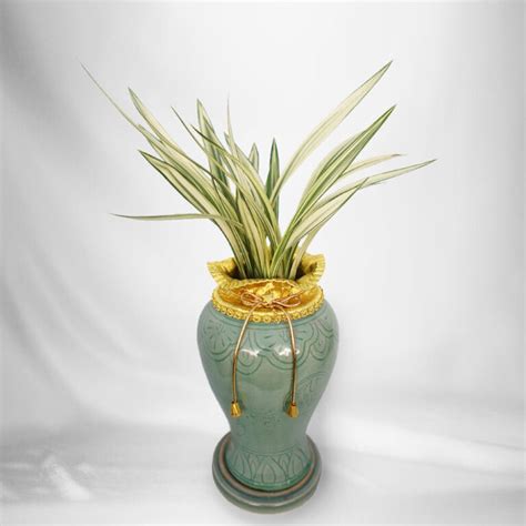 축하 화분 종류와 가격 당일 배송 안내 정성꽃배달 전국 꽃바구니 꽃배달 화환 화분