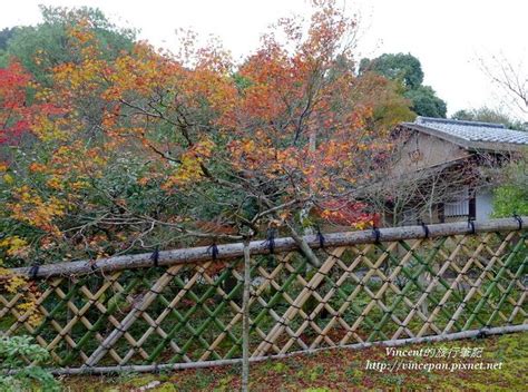 Pin Von Nicole Wang Auf Honami Kōetsu 本阿弥光悦