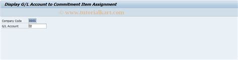 FRD2 SAP Tcode Display G L Account Commt Item Transaction Code