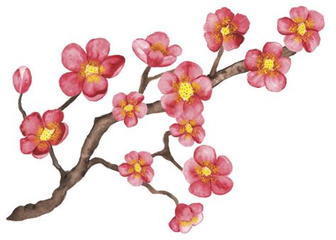 梅花工笔画图片素材 梅花工笔画设计素材 梅花工笔画摄影作品 梅花工笔画源文件下载 梅花工笔画图片素材下载 梅花工笔画背景素材 梅花工笔画模板
