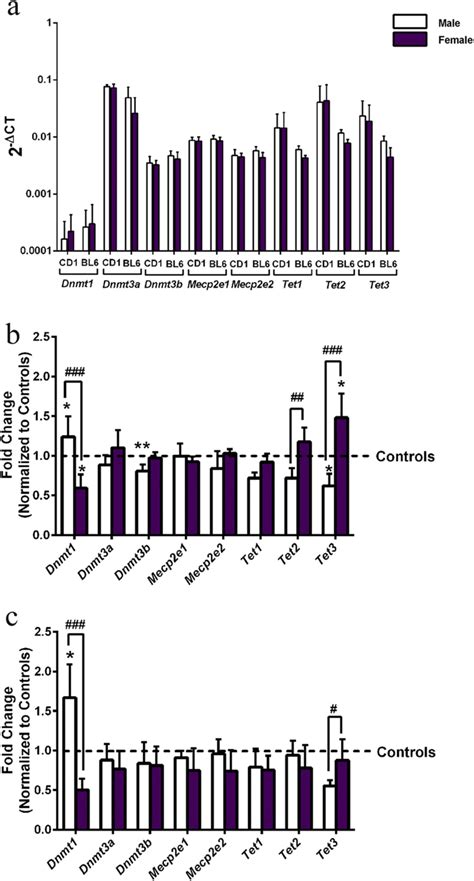 Effect Of Chronic Ethanol Treatment On The Expression Of Genes