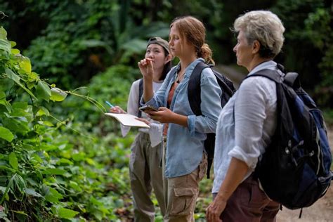 Wilderness Therapy A Guide To Nature Based Healing