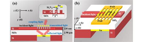 Schematic Drawings Of Mems Based Mnc For A Cross Sectional And B 3d Download Scientific Diagram
