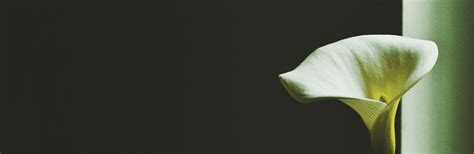 The Incarnation Is Local The Poetry Of John Rybicki Comment Magazine