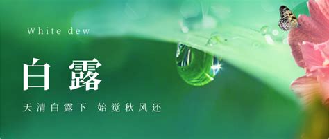 【谷月老师mos】如何在word文档中批量把数字设置为粗体？让博士培训师告诉你！ 知乎