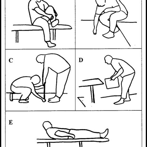 Pdf Back Performance Scale For The Assessment Of Mobility Related