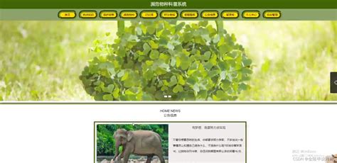 毕设项目：濒危物种科普系统jspjavaspringmvcmysqlmybatis Csdn博客