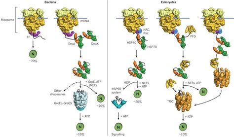 Ithy Beyond Inhibition Unlocking The Potential Of Second Generation