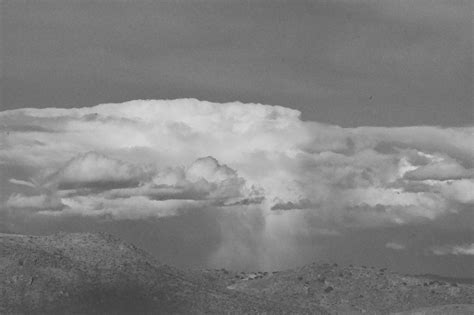 Cloudburst Funding The Citizen And Communications Between Life Forms