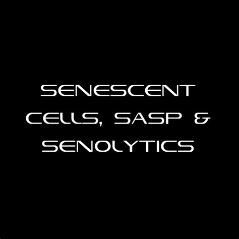 Studies On Senescent Cells Sasp And Senolytics Interstellar Blends