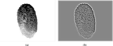 Figure 1 From Towards Nfiq Ii Lite Self Organizing Maps For Fingerprint