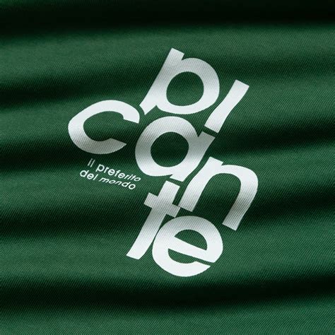 Module T Shirt Picante