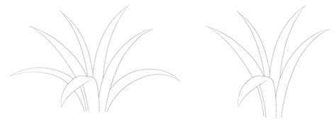 Gras Tekenen Zo Doe Je Dat