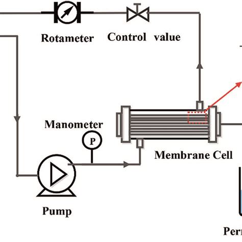 Schematic Diagram Of Filtration System Download Scientific Diagram