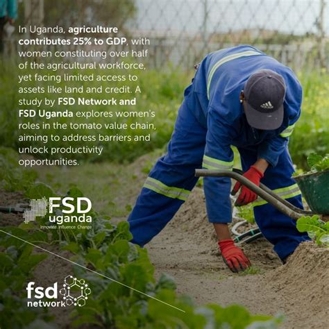 Fsd Network On Linkedin Dive Deeper Into The Latest Insights Dont