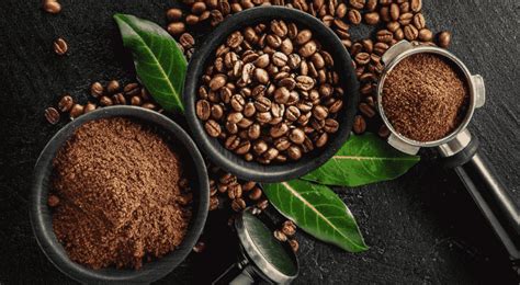 브라질 최고의 커피 원두 7선 2024년 3월 업데이트