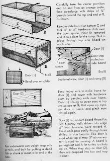 Flapdoodle Turtle Traps