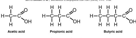 Propionic Acid Structure