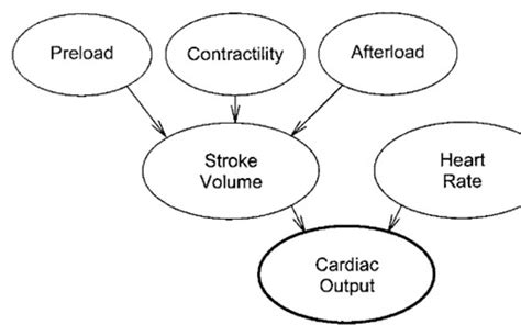Heart Failure Flashcards Quizlet