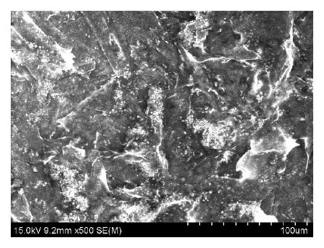 SEM Images Of Xerogels C18 Azo A B C And D And C18 Azo Me E F
