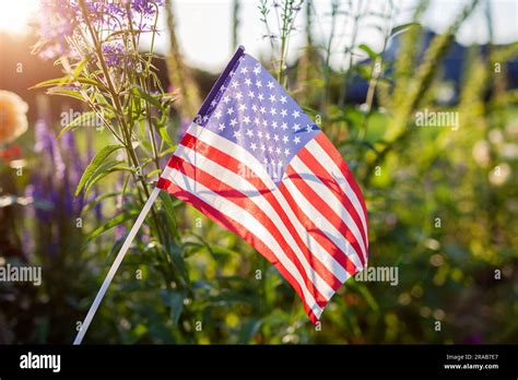 Independence Day Of Usa American Flag Put In Summer Garden By Flowers