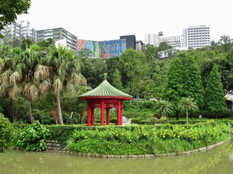 香港的大学校园中有哪些值得一看的风景？ 知乎