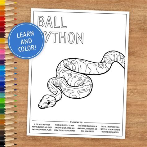 Python Coloring Pages 2025
