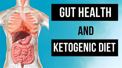 How The Ketogenic Diet Can Achieve Gut Health Excellence Youtube