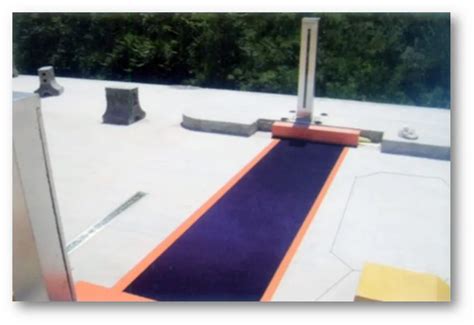 In Motion Scales At Best Price In Haridwar By Sagar Weighing Systems