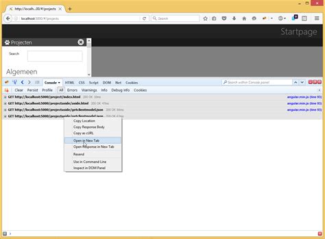 Preventing CSRF In ASP NET Core Combined With AngularJS Timdows