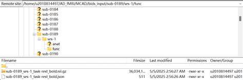 Questions About Create Session Info For FMRI Data Use Questions
