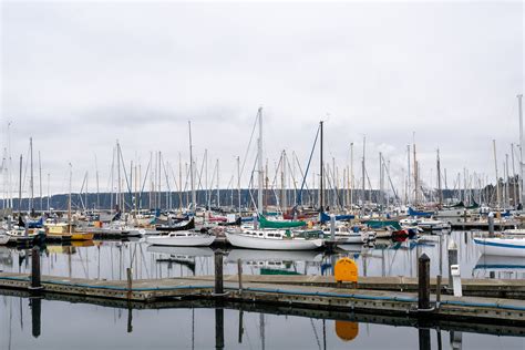 Strange Beer In A Strange Land — Propolis Brewing In Port Townsend
